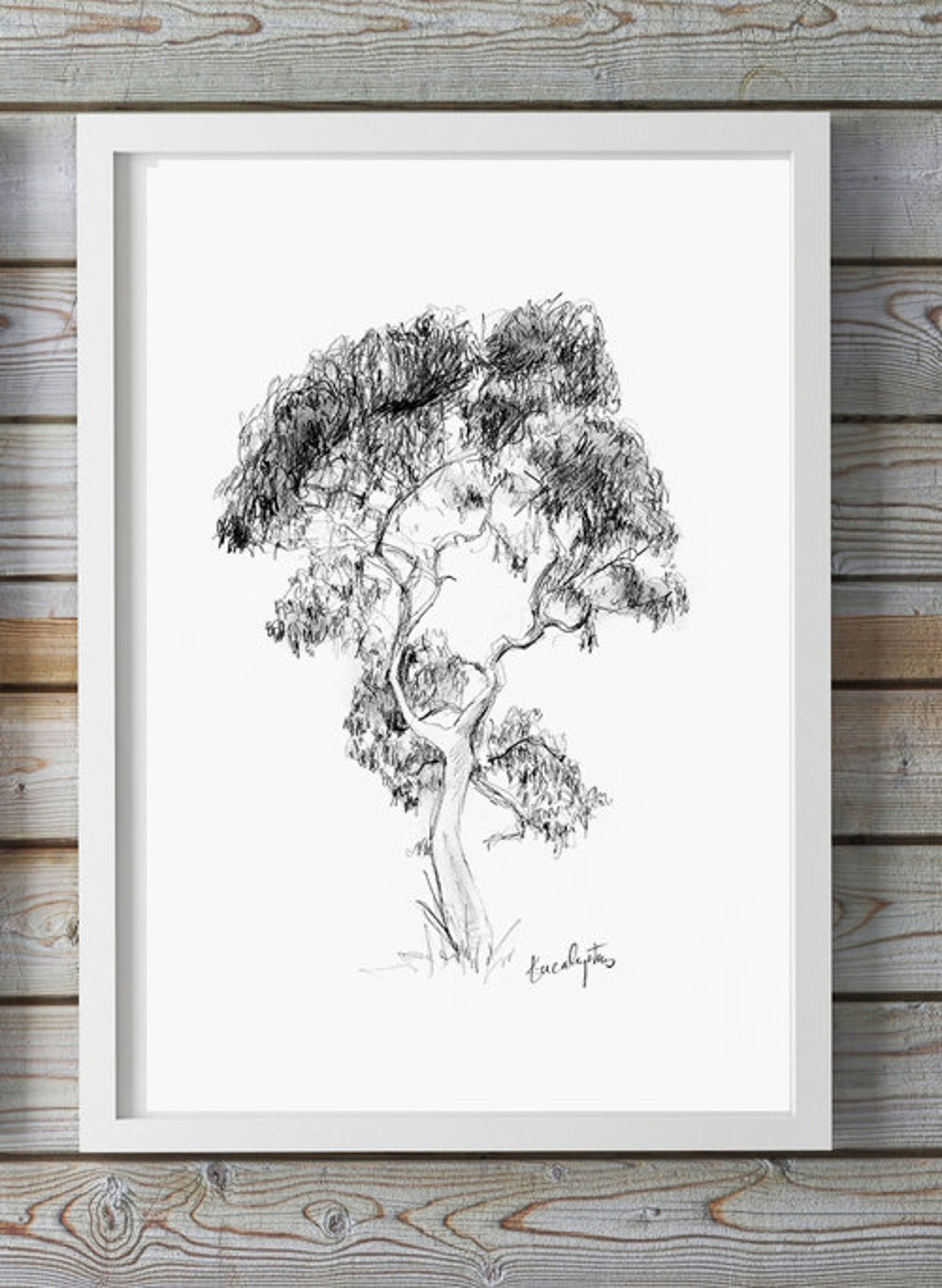 Eucalyptus tree tree drawing grey wall art zen sketch by | Etsy