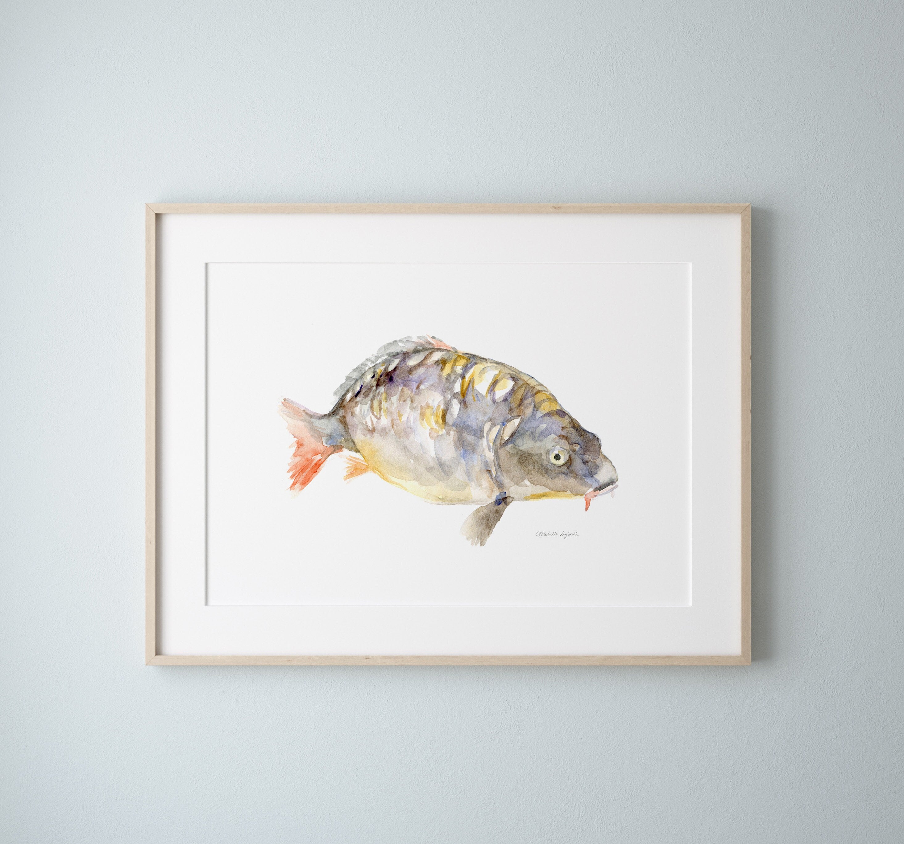 Mirror Carp Watercolor Art Print, Fishing Gift - Etsy