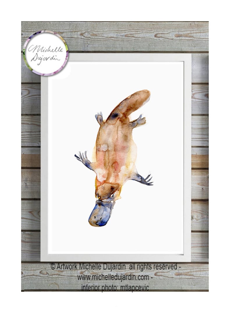 Platypus Art Platypus Watercolor Painting Giclee Print - Etsy