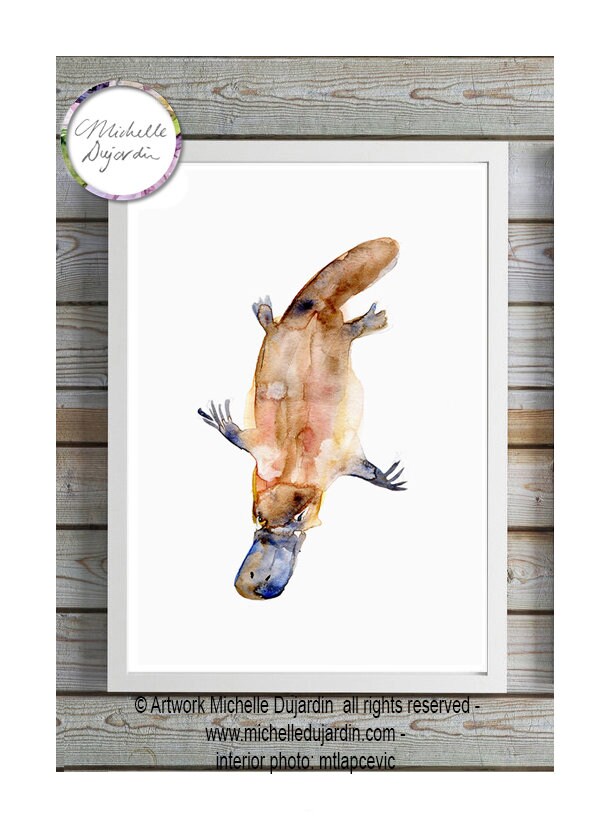 Platypus Art Platypus Watercolor Painting Giclee Print | Etsy