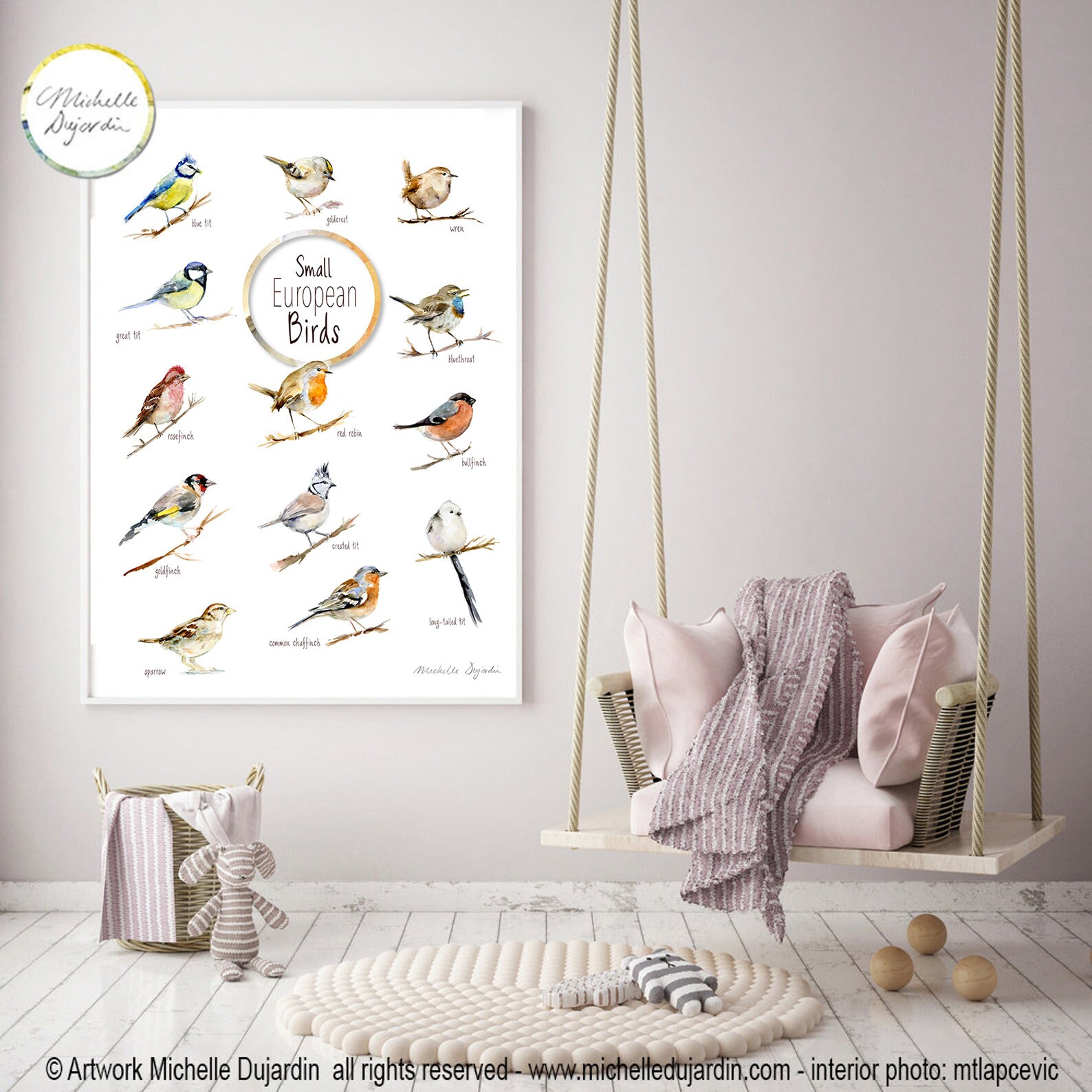 Bird Species School Poster Birds Print European Birds Large - Etsy