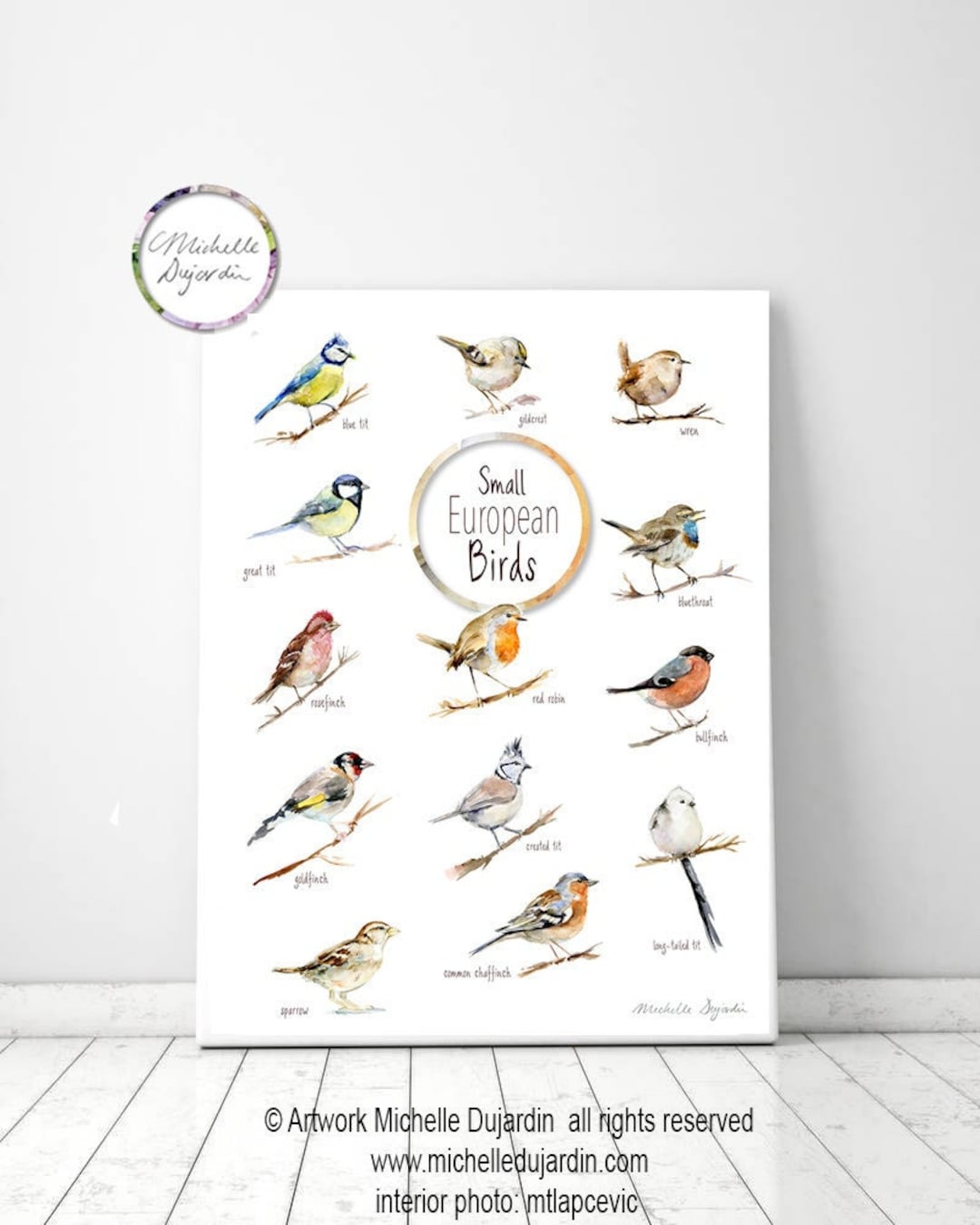 Bird Species School Poster, Birds Print, European Birds, Large Poster ...