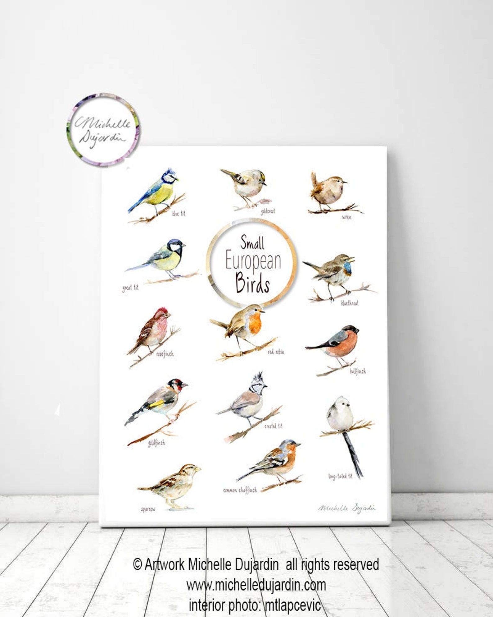 Bird Species School Poster Birds Print European Birds Large - Etsy