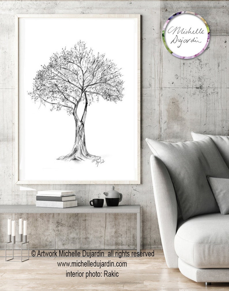 Old Ficus Tree Drawing Italian Tree Art Ficus Illustration - Etsy