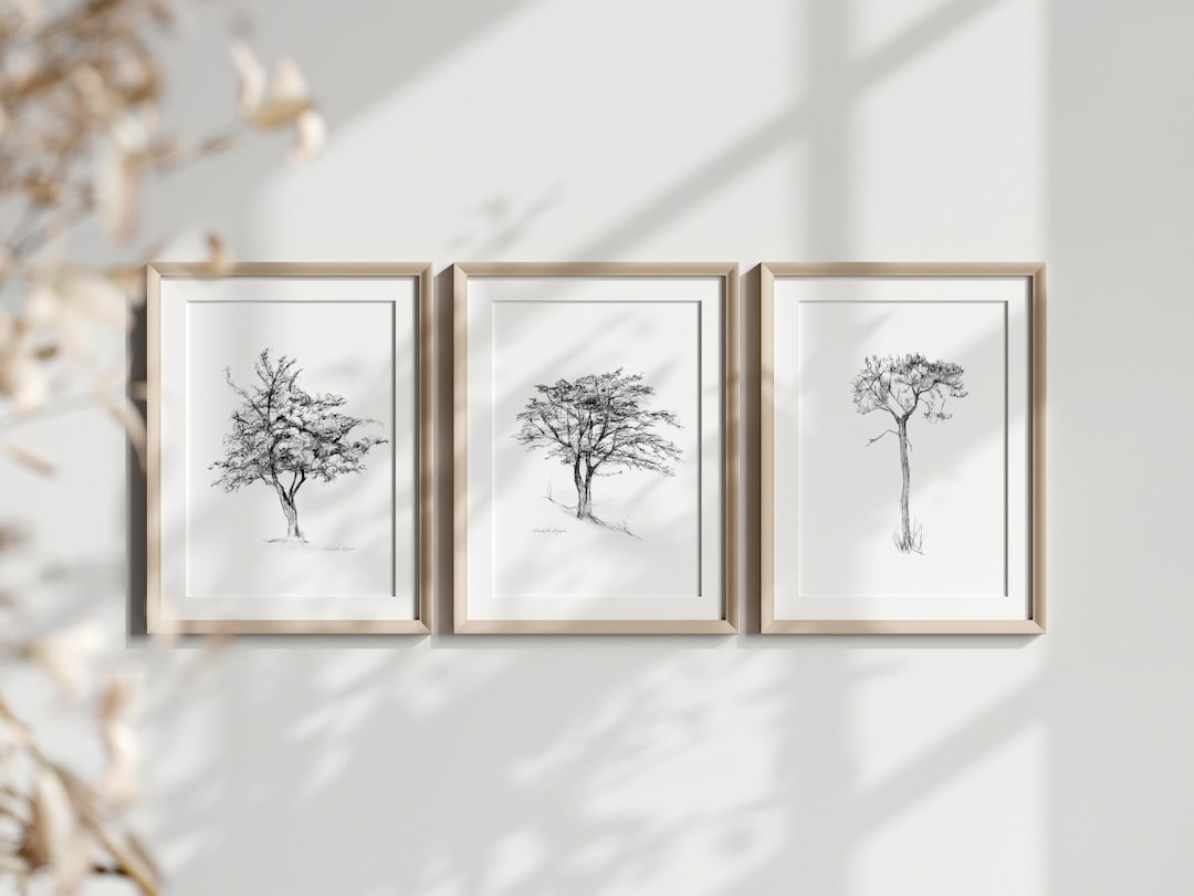 Tree Wall Art Set of 3 Prints Tree Pencil Drawings Gray White Black ...