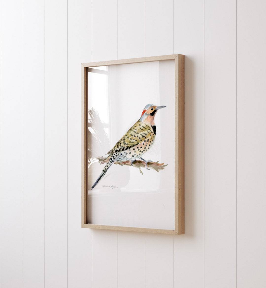 Northern Flicker Art Print Flicker Painting American Woodpecker Art USA Bird Species Golden ...
