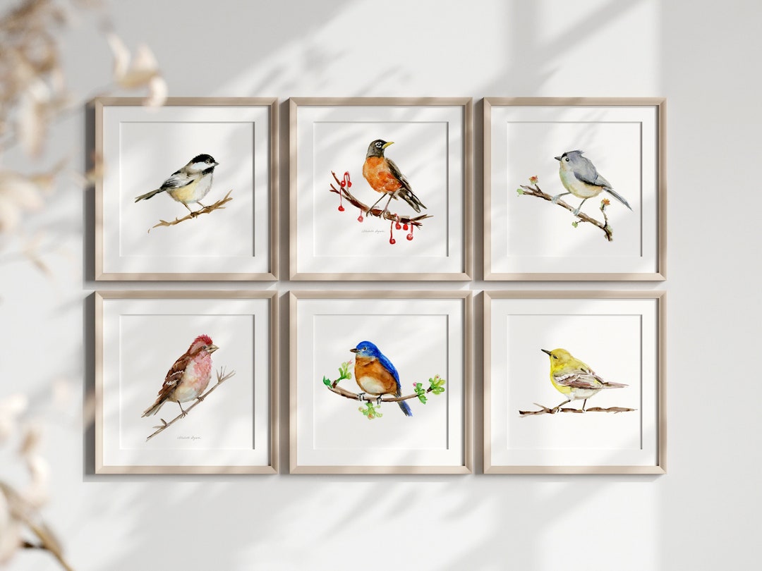 Set of 6 American Birds Prints American Robin Tufted Titmouse Bird ...