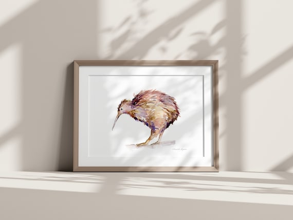 Kiwi Bird Drawing