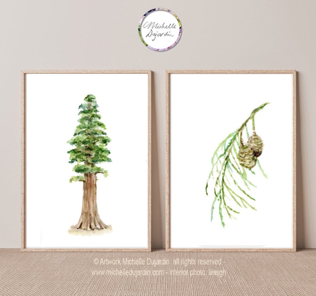 Giant Sequoia Art, Sequoia Tree and Sequoia Branch With Pine Cones ...