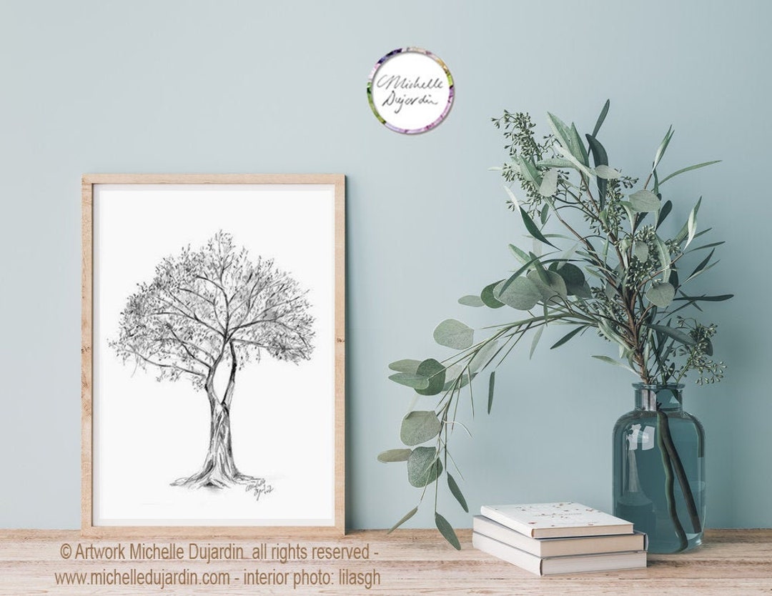 Old Ficus Tree Drawing, Italian Tree Art, Ficus Illustration, Pencil ...