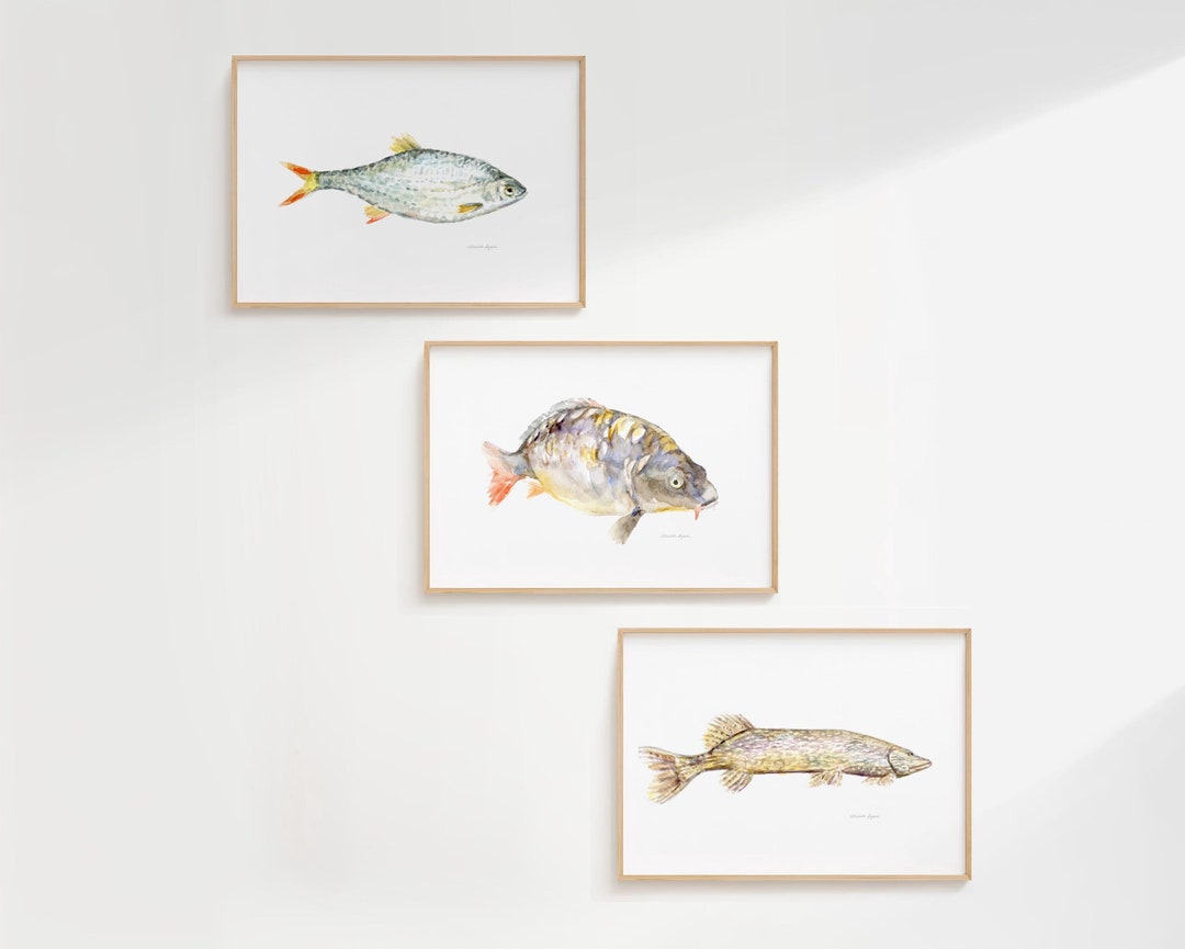 Fish Art Prints Set of 3 Fish Paintings Carp Pike Minnow Roach Gift for ...