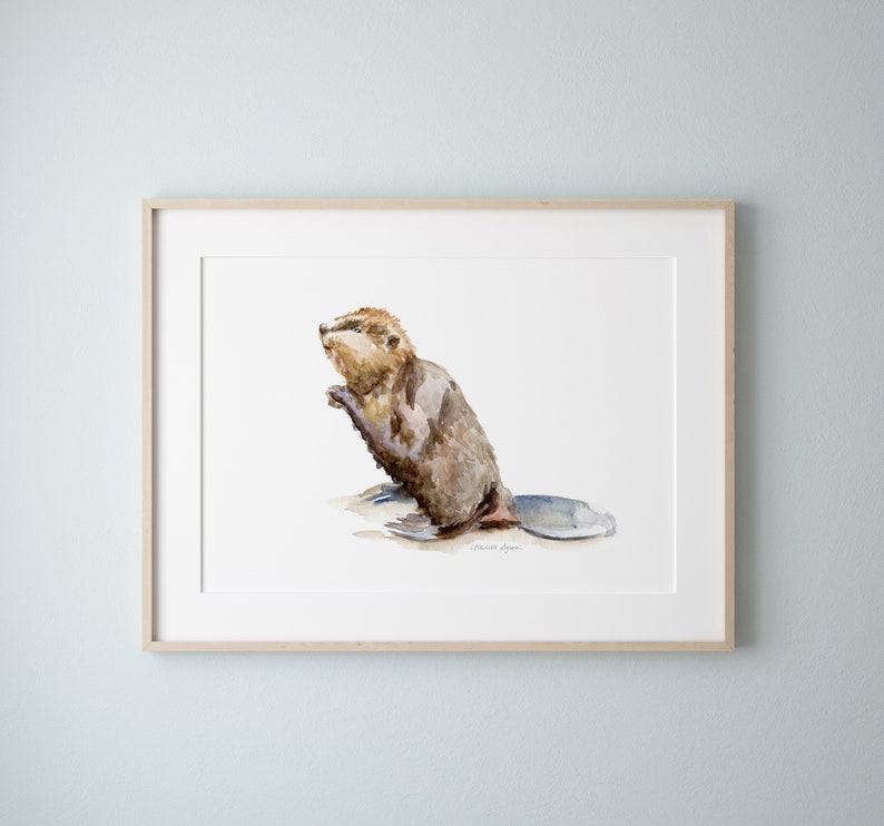Beaver Watercolor Art Print, American Wildlife Painting - Etsy