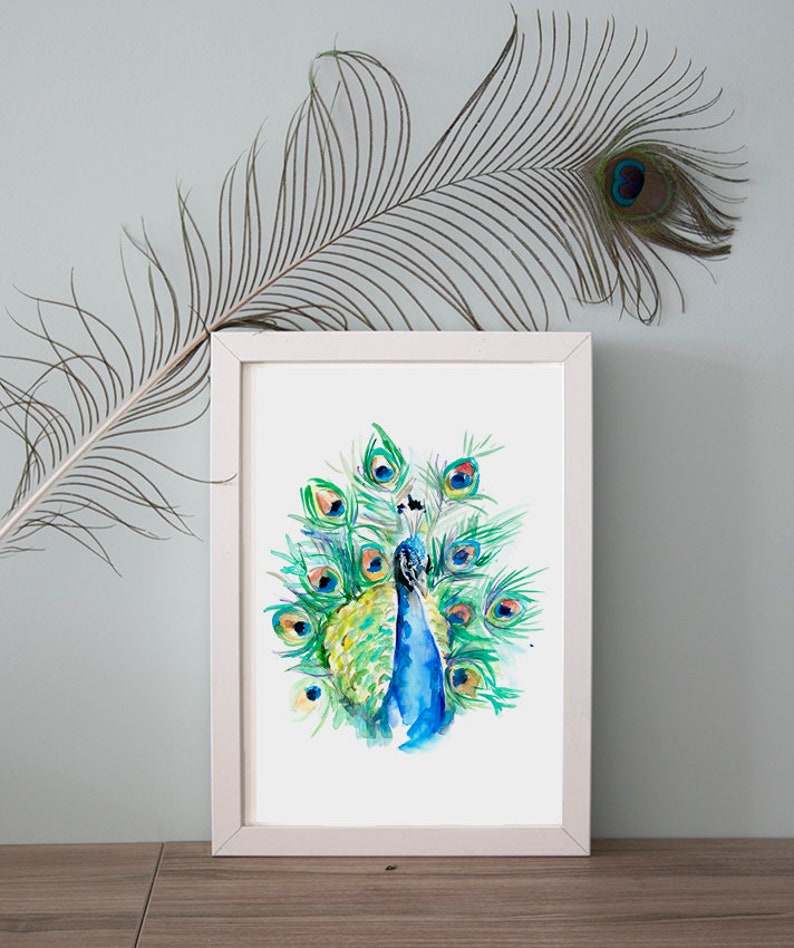 Pauw schilderij, Pauw illustratie, aquarel pauw, kunst print, Pauw ...