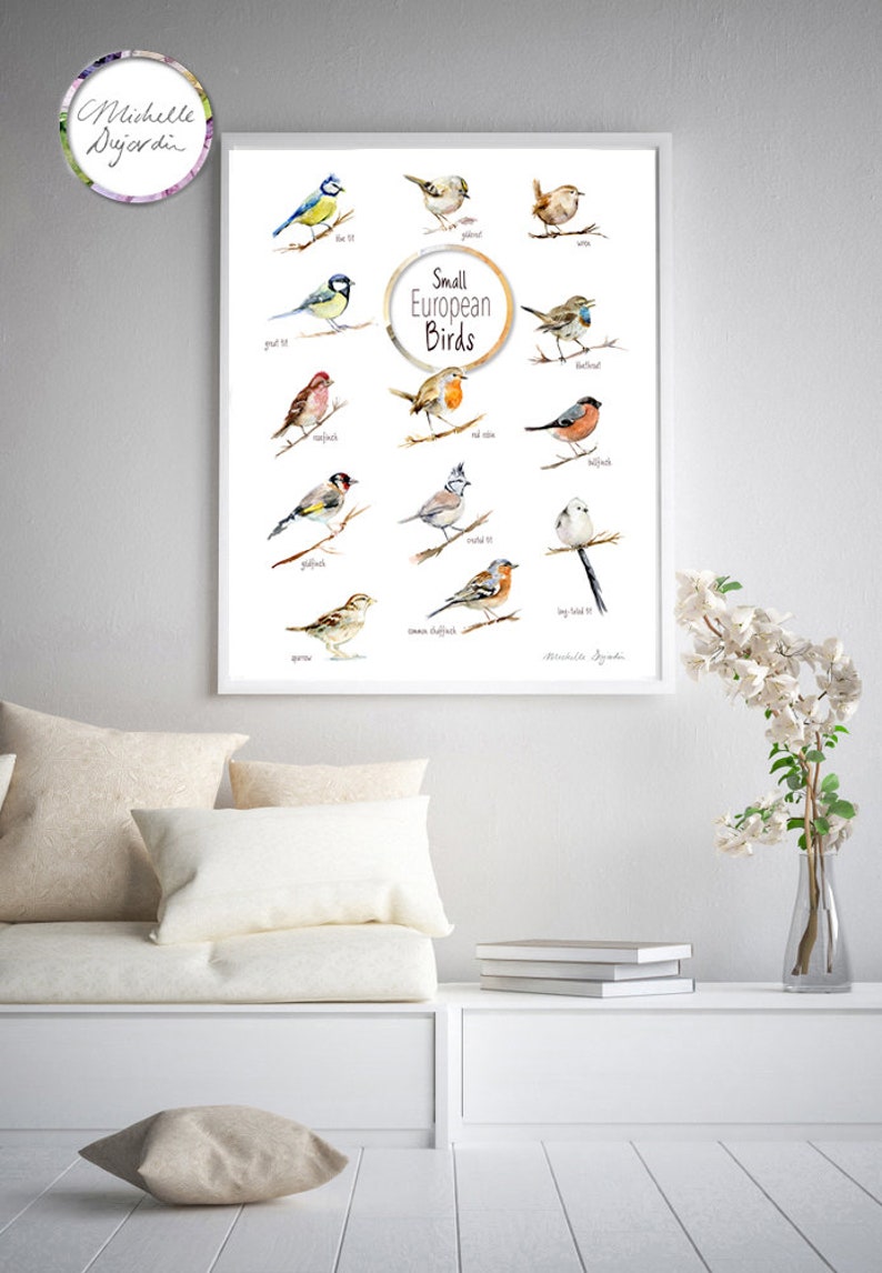 Bird Species School Poster Birds Print European Birds Large - Etsy