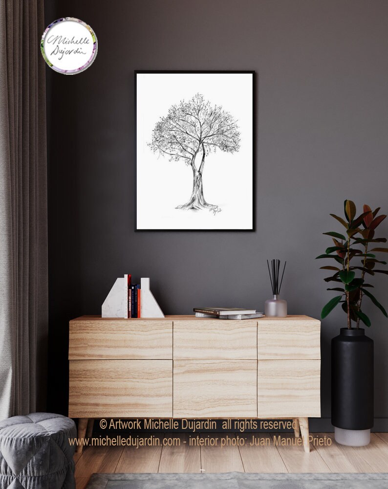 Old Ficus Tree Drawing Italian Tree Art Ficus Illustration - Etsy