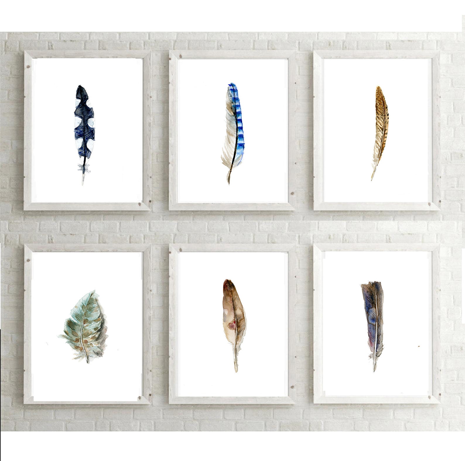 Set van 6 zwart witte veren prints veer van een vlaamse gaai - Etsy ...