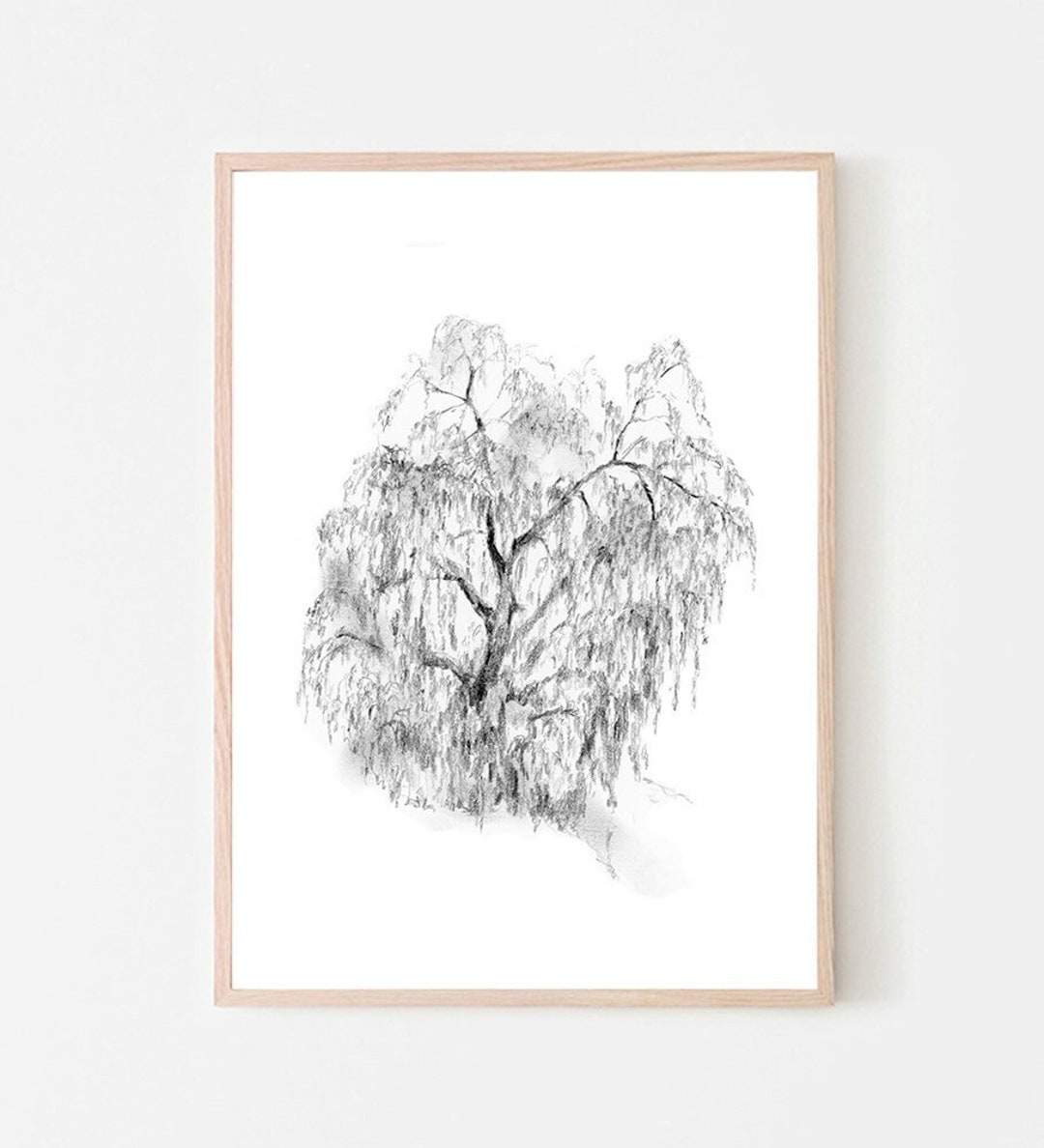 Weeping Willow Art Willow Tree Drawing Pencil Sketch Zen - Etsy