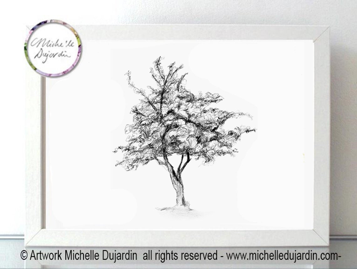 Boom tekening in grijs zwart wit boom schets door Michelle | Etsy Nederland
