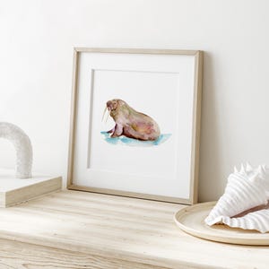 Walrus Art Print Walrus Watercolor Painting Seal Nursery Decoration ...