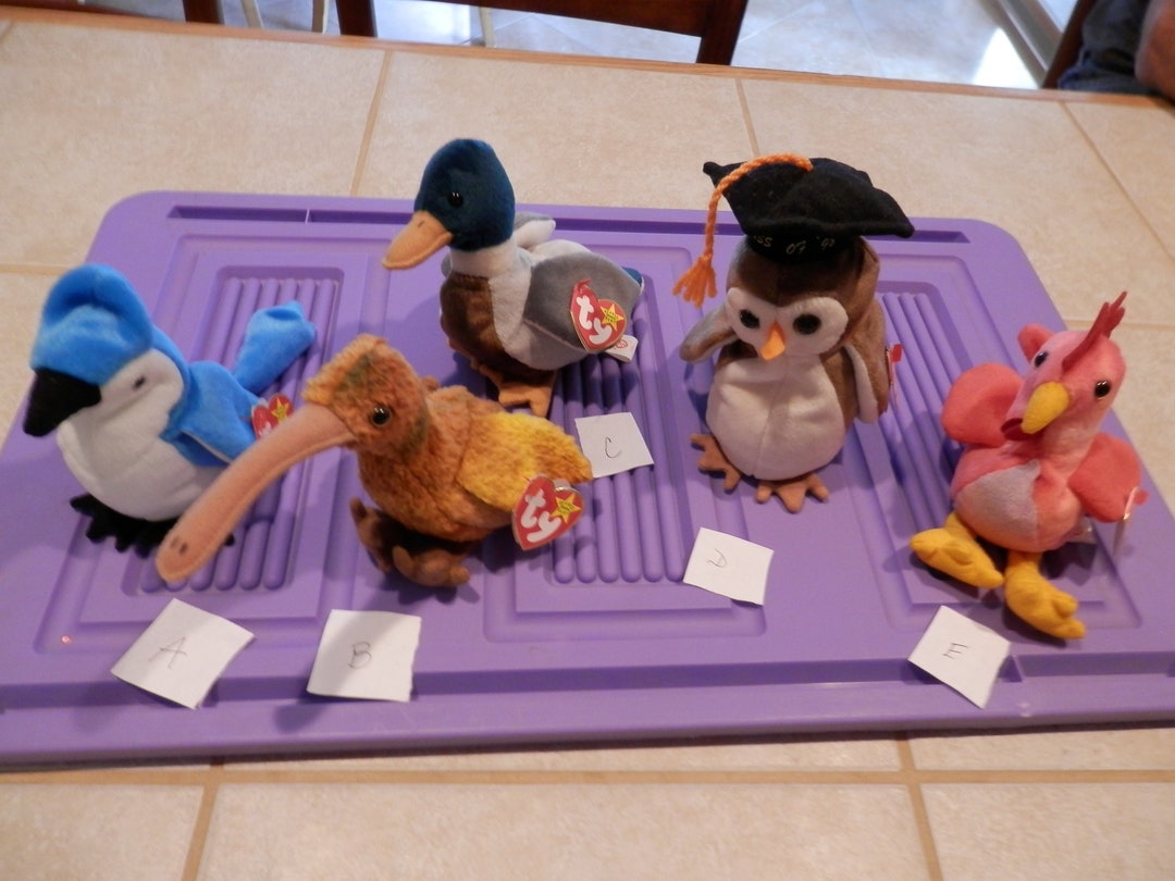 Beanie Babies Like New by TY Bird Collection Choose Your Favorite ...