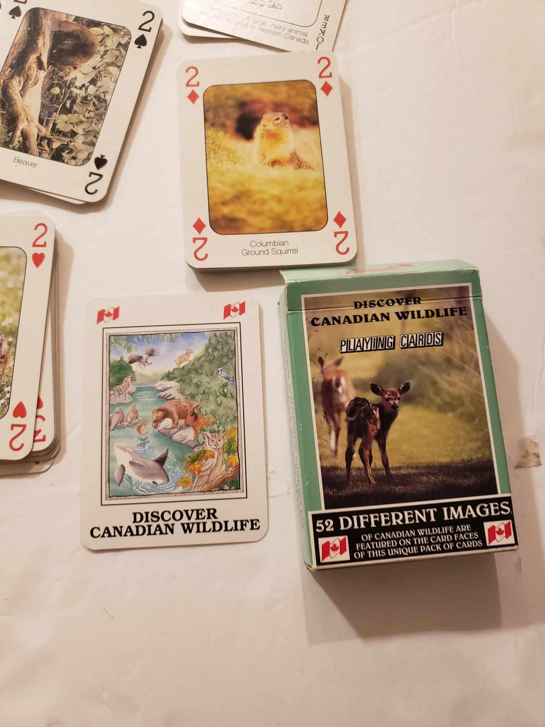 Discover Canadian Wildlife Playing Cards 52 Different Images Wonderful ...