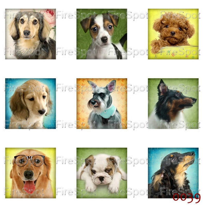 Vintage Pet Dog,animal Digital Collage Sheet 1.5 Inch,1 Inch,25 Mm, 20 ...