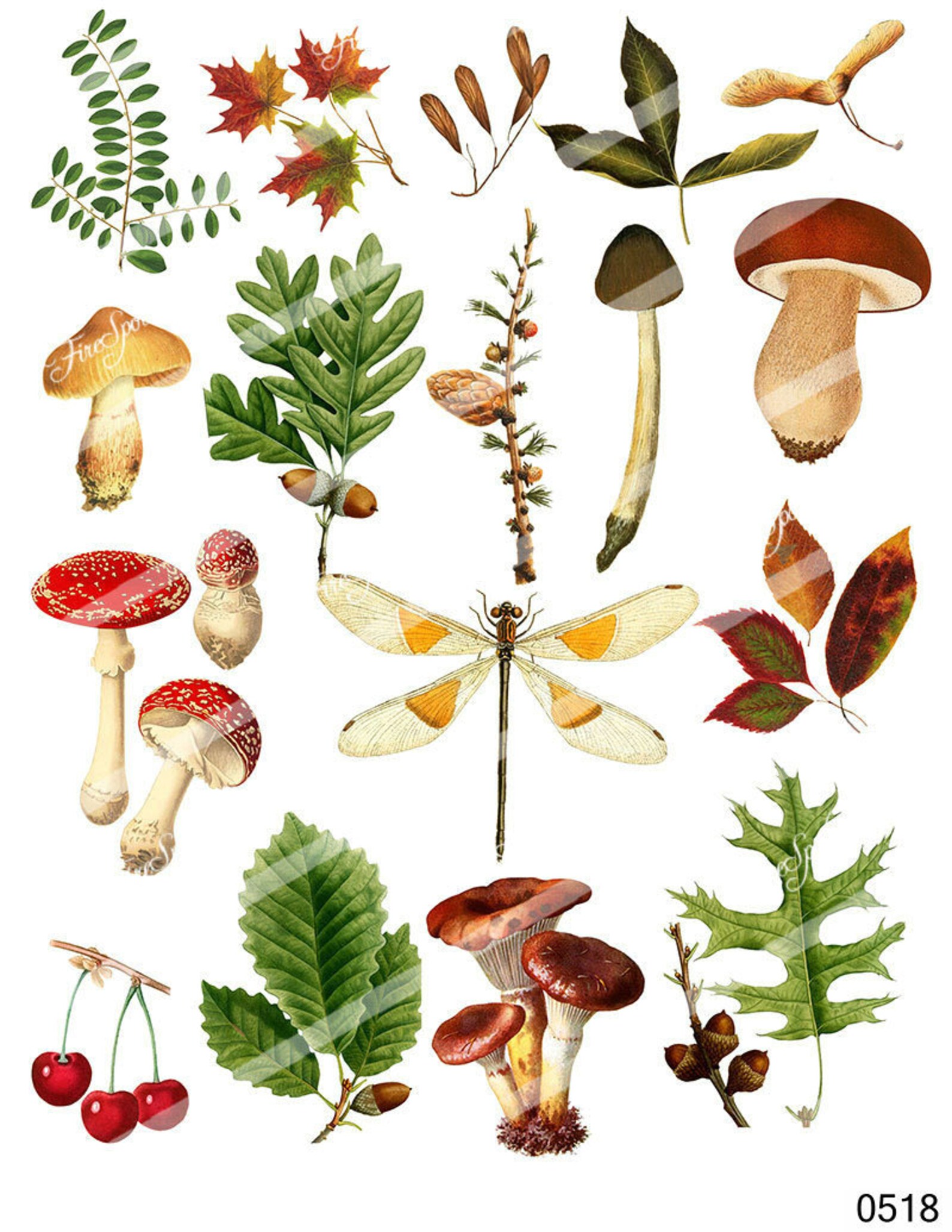 Vintage Forest Mushroom Leaf Digital Collage Sheet Element | Etsy