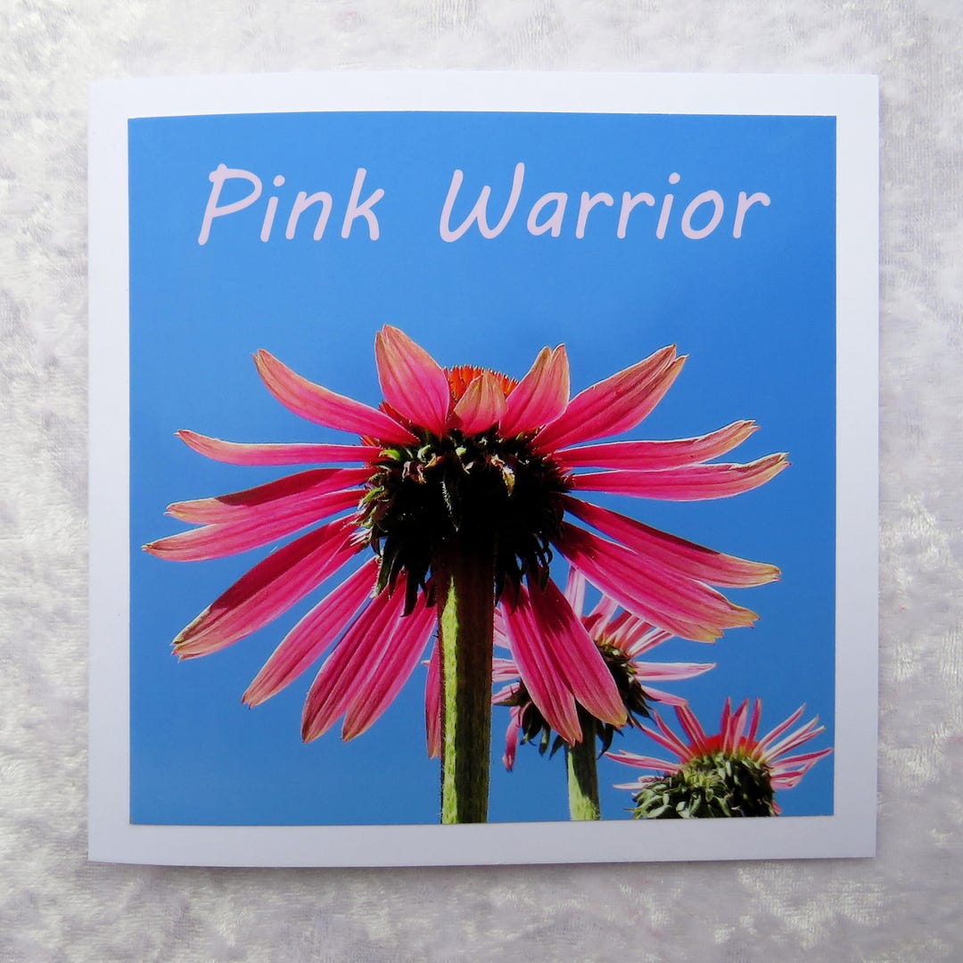 Cancer Card, Pink Warrior, Cancer Survivor - Etsy UK