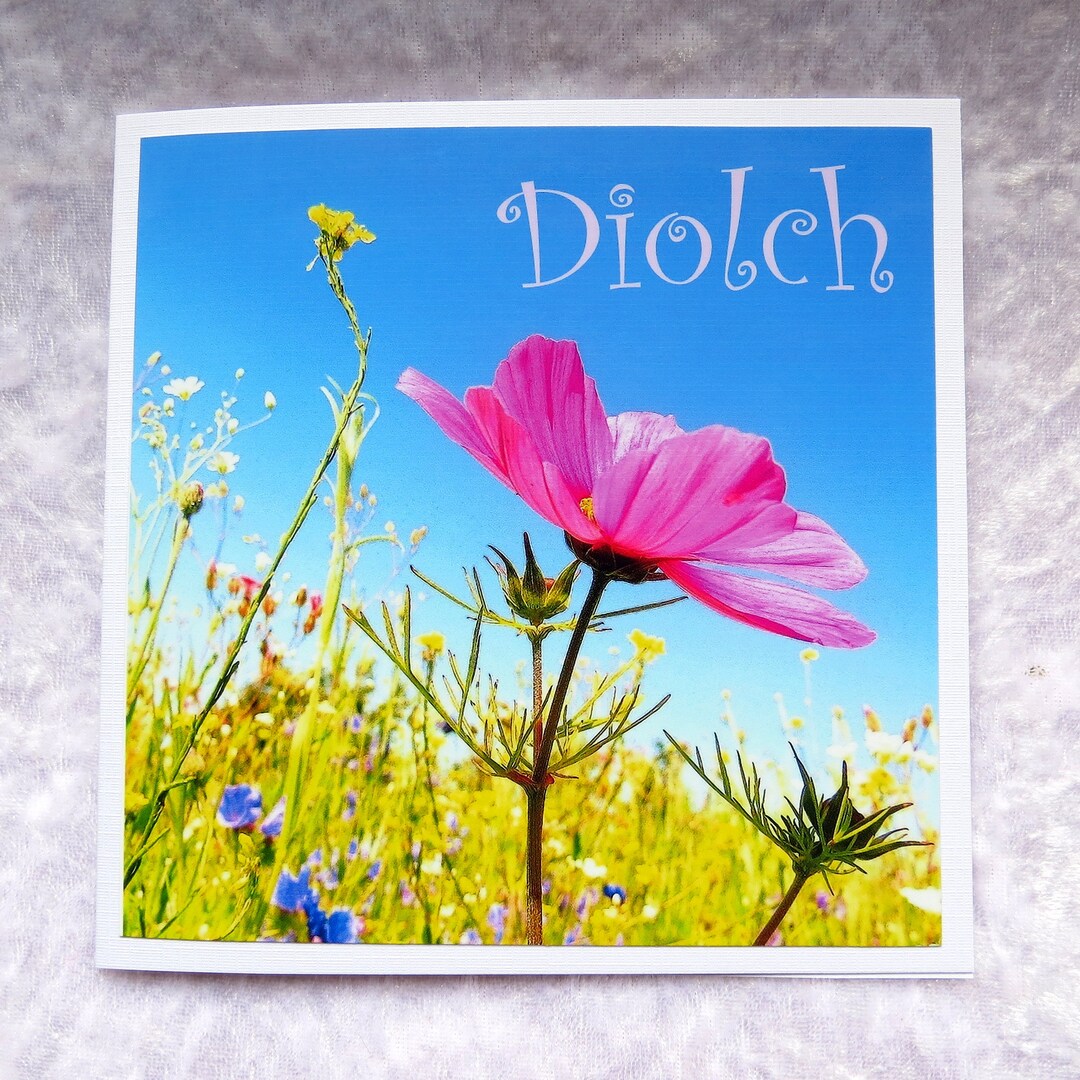 Diolch Greetings Card: Welsh Thank You Card With Original Photo - Etsy UK