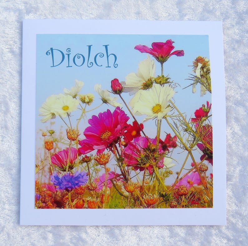 Diolch: Welsh Card, Welsh Greetings, Thank You - Etsy UK
