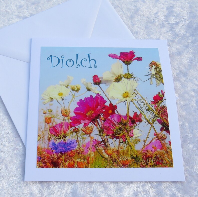 Diolch: Welsh Card, Welsh Greetings, Thank You - Etsy UK