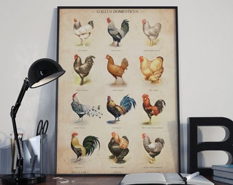 Chicken Chart | Etsy
