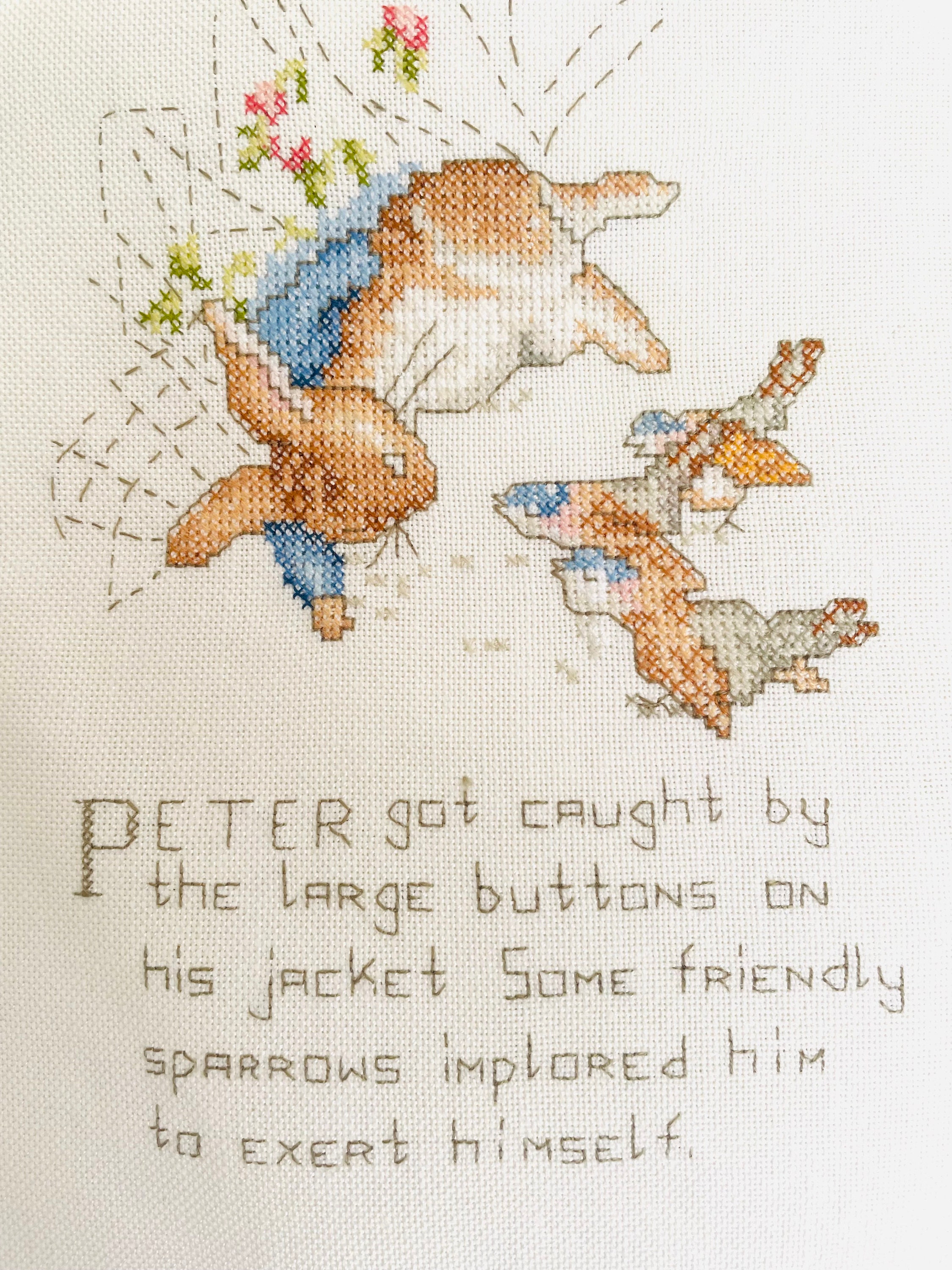 Peter Rabbit Handmade Cross Stitch Small Cross Stitch Beatrix Potter ...