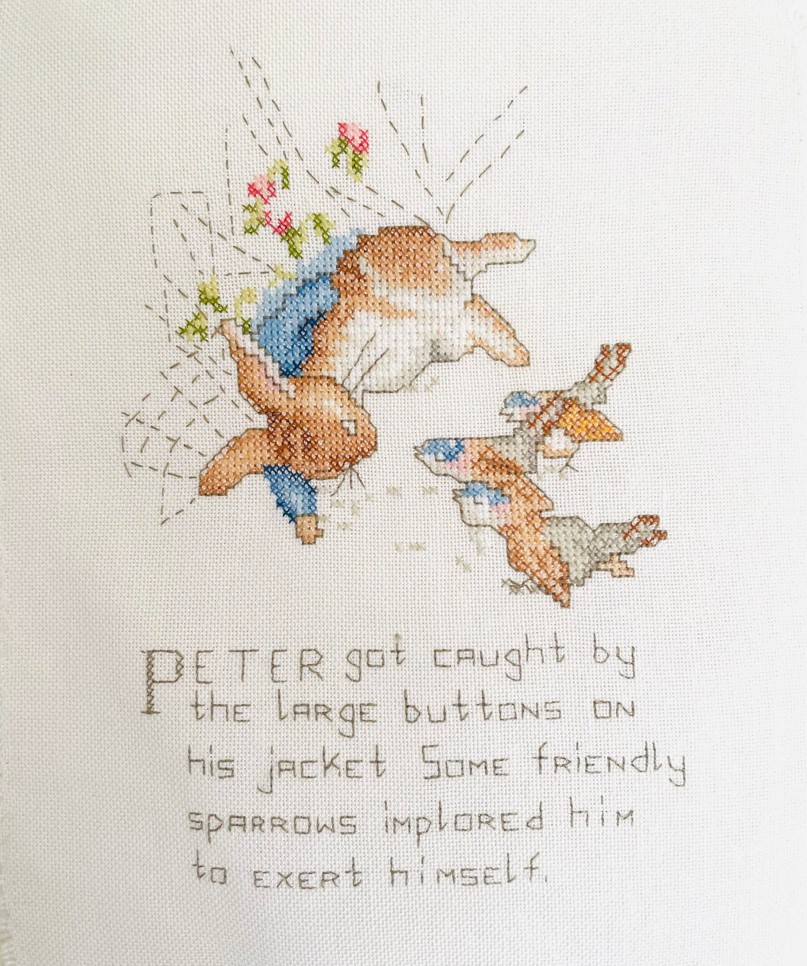 Peter Rabbit Handmade Cross Stitch Small Cross Stitch Beatrix Potter ...