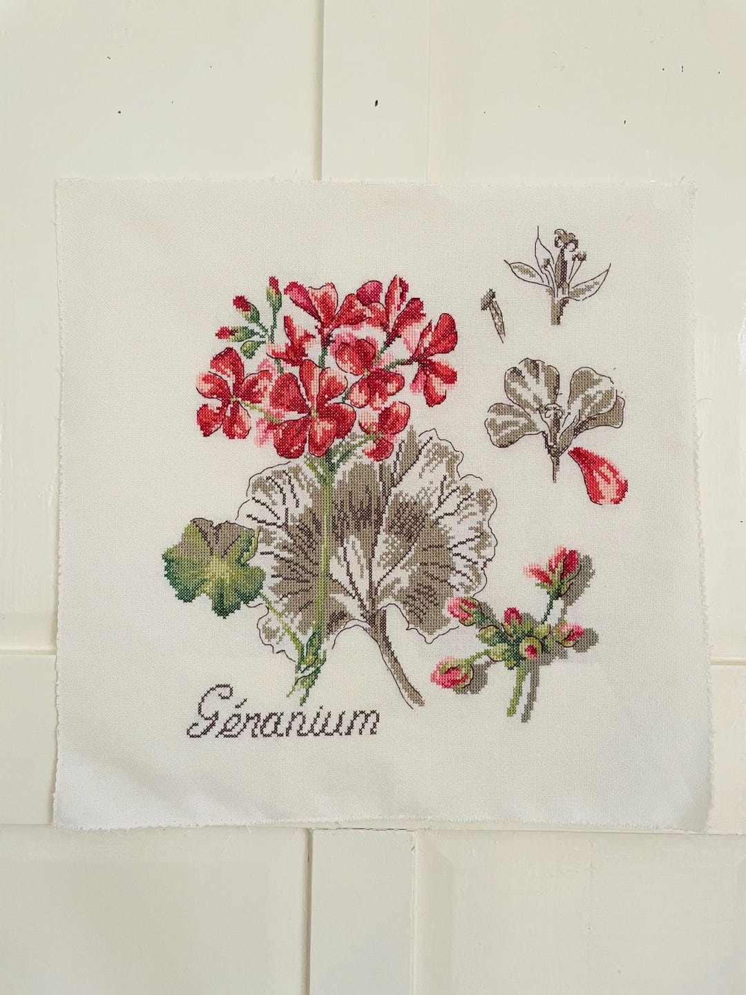 Handmade Cross Stitch Geranium Floral Cross Stitch Flower Cross Stitch ...