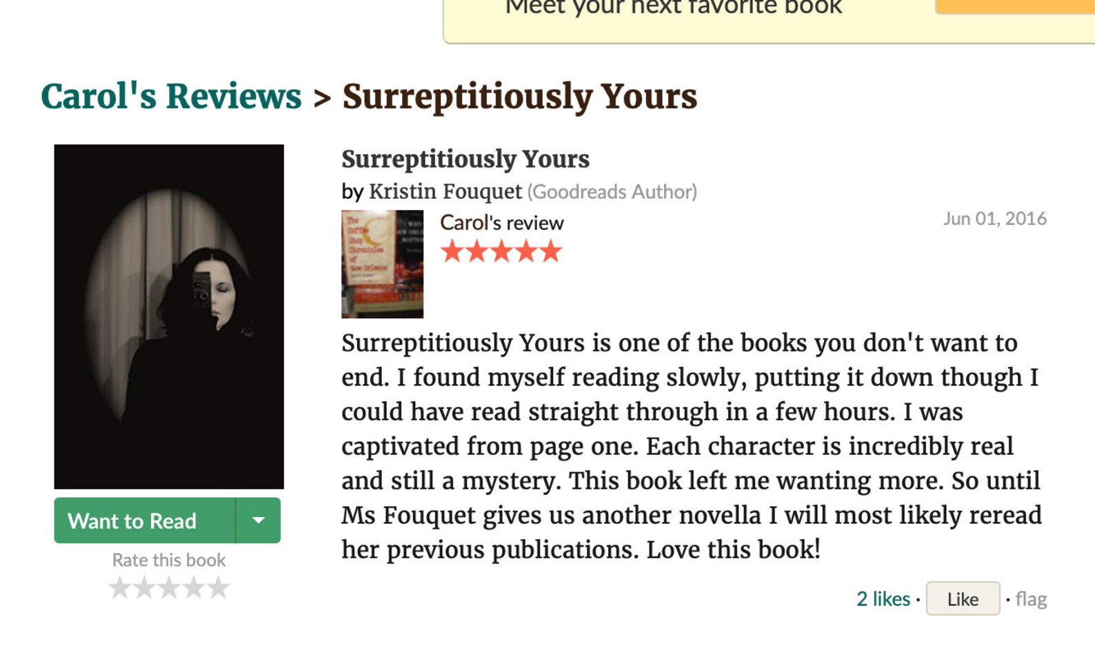 Surreptitiously Yours - Etsy