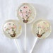 3 Hot Air Balloon Cotton Candy Flavored French Wedding Party Favors ...