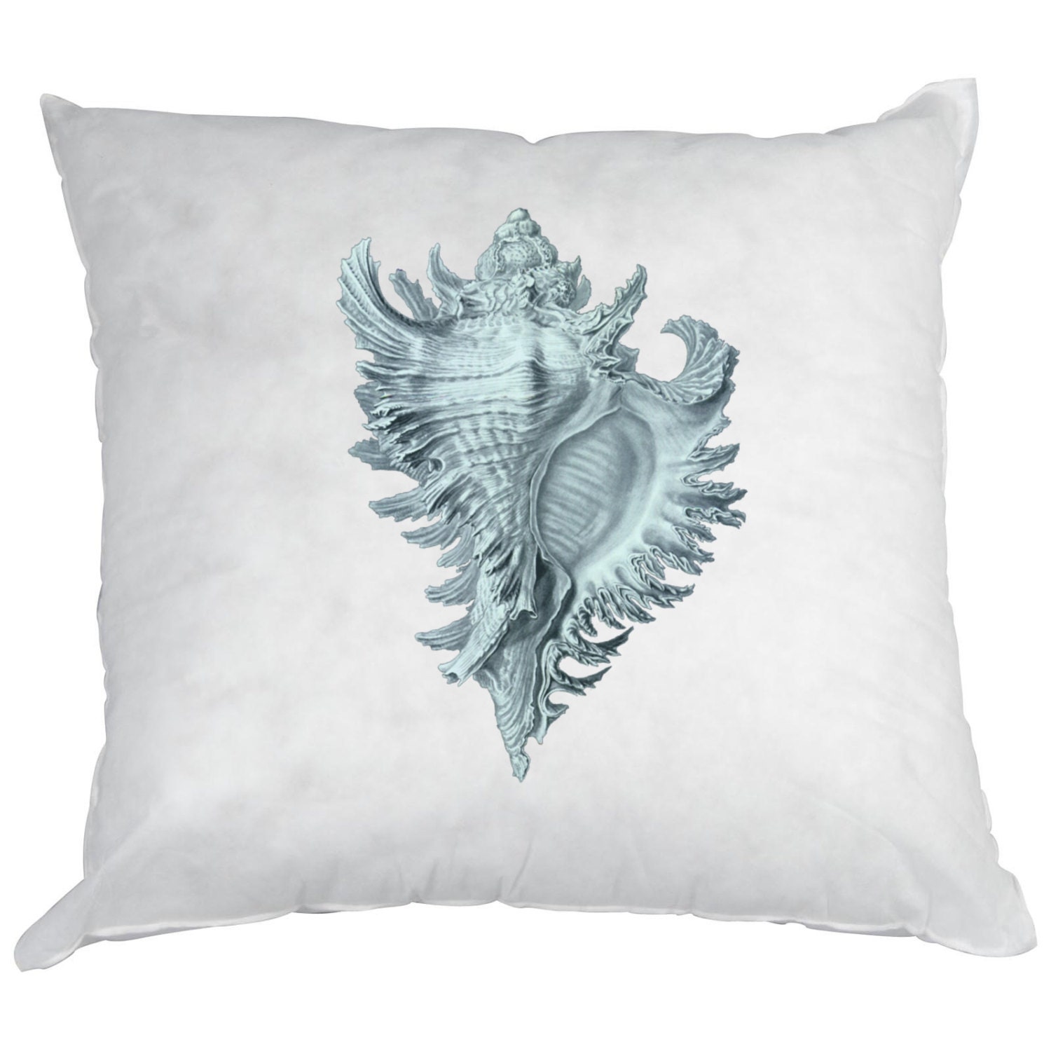 Printable Vintage Conch Sea Shell Download Haeckel 8x11 - Etsy