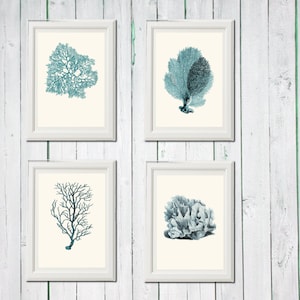 Coral Blue 4 Art Sea Vintage Printables 8,5 X 11 Inch Digital File ...