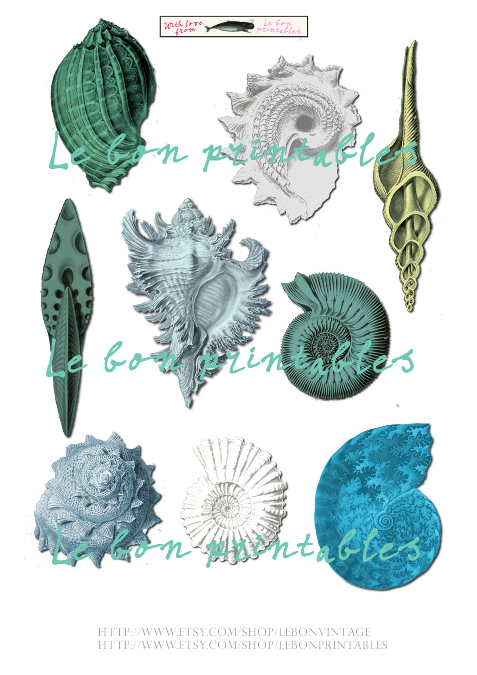 Sea Shell French Vintage Collage Sheet Instant Download - Etsy