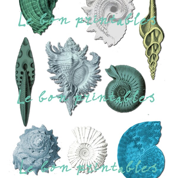 Collage - Etsy Nederland