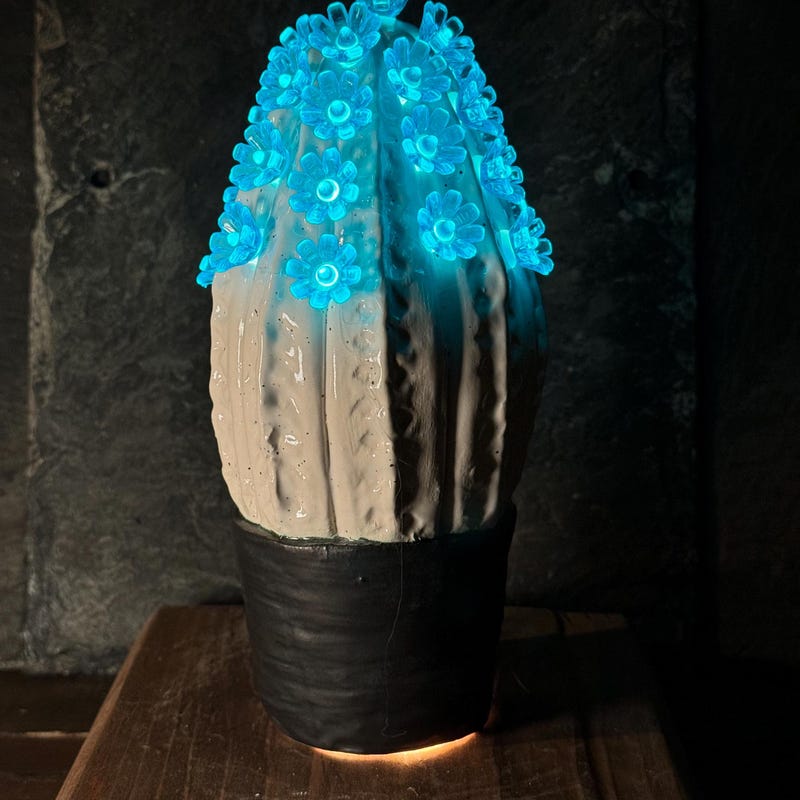 Cactus Night Light - Etsy