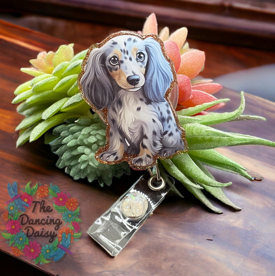 Dachshund Doxie - LONG HAIR DAPPLE - Badge Reel - Etsy