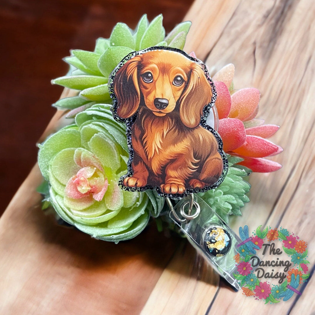 Dachshund Doxie LONG HAIR Chocolate / Tan / Red Badge Reel - Etsy