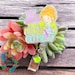 MRS. FRIZZLE - Get Messy Badge Reel - Teaching - Etsy