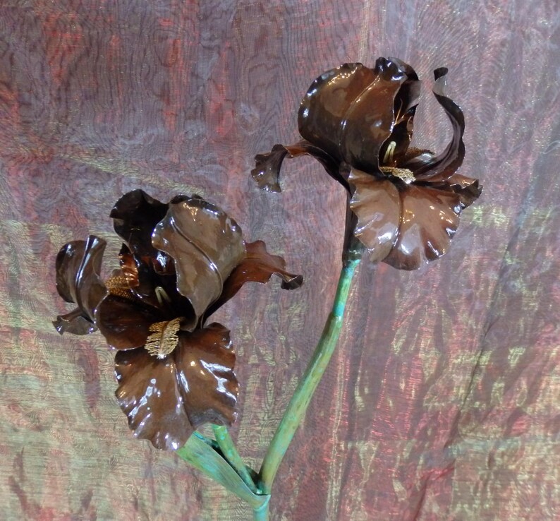 Forged Copper, Oxidized to Milk Chocolate Brown, Double Mounted Bearded ...