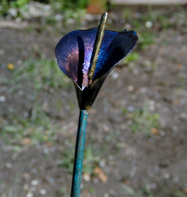 Forged Flame Blued Steel Calla Lily - Etsy