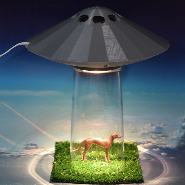 Desk Lamp - Etsy