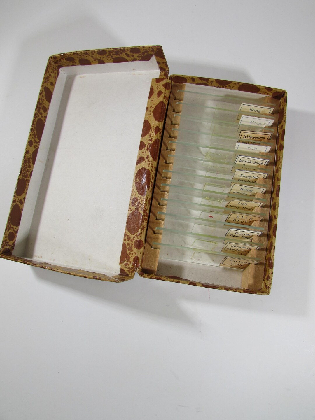 Microscope Slides, Vintage Microscope Slides, Science Lab Slides ...
