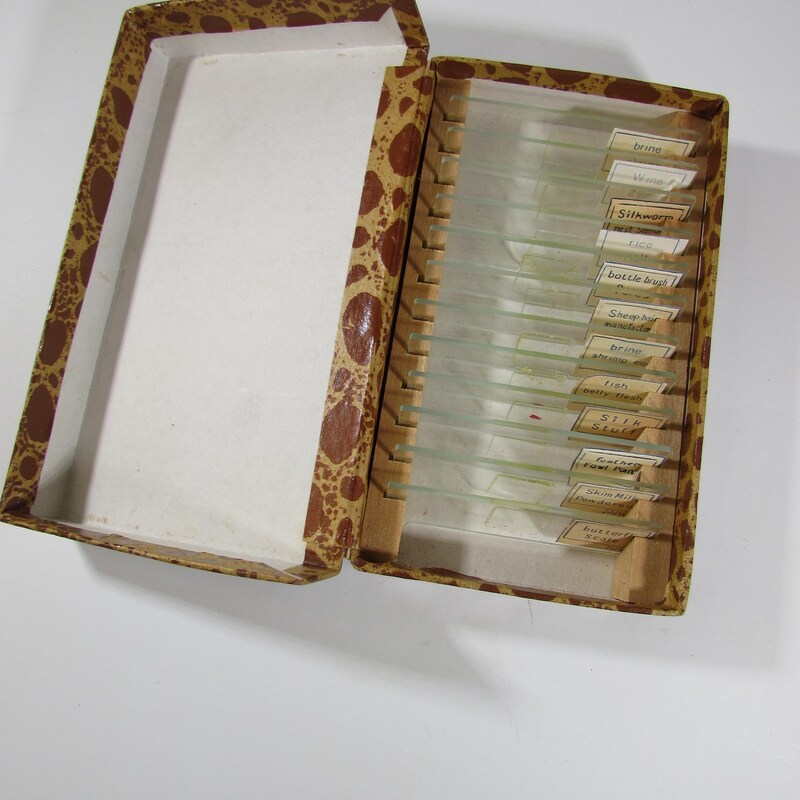 Microscope Slides - Etsy